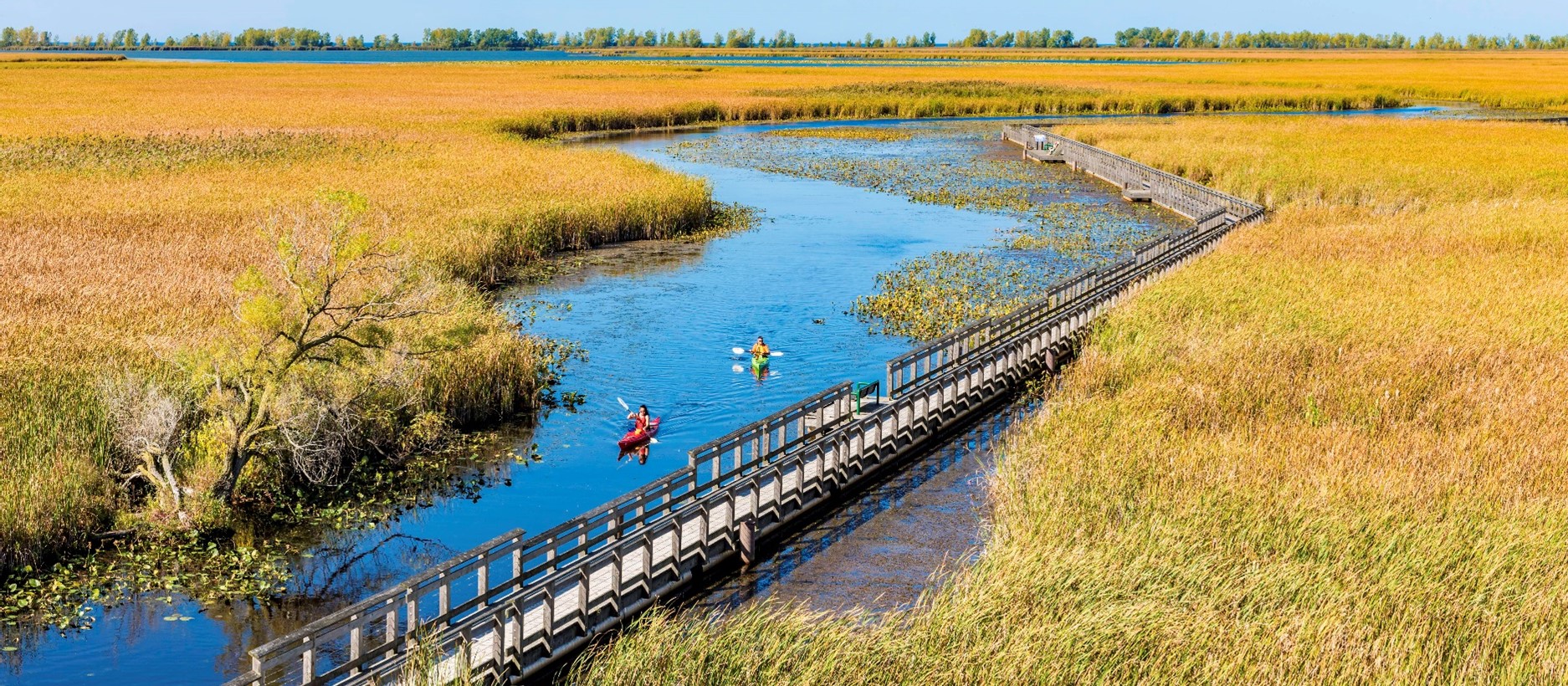 International Joint Commission Wetland Protection Study and ...