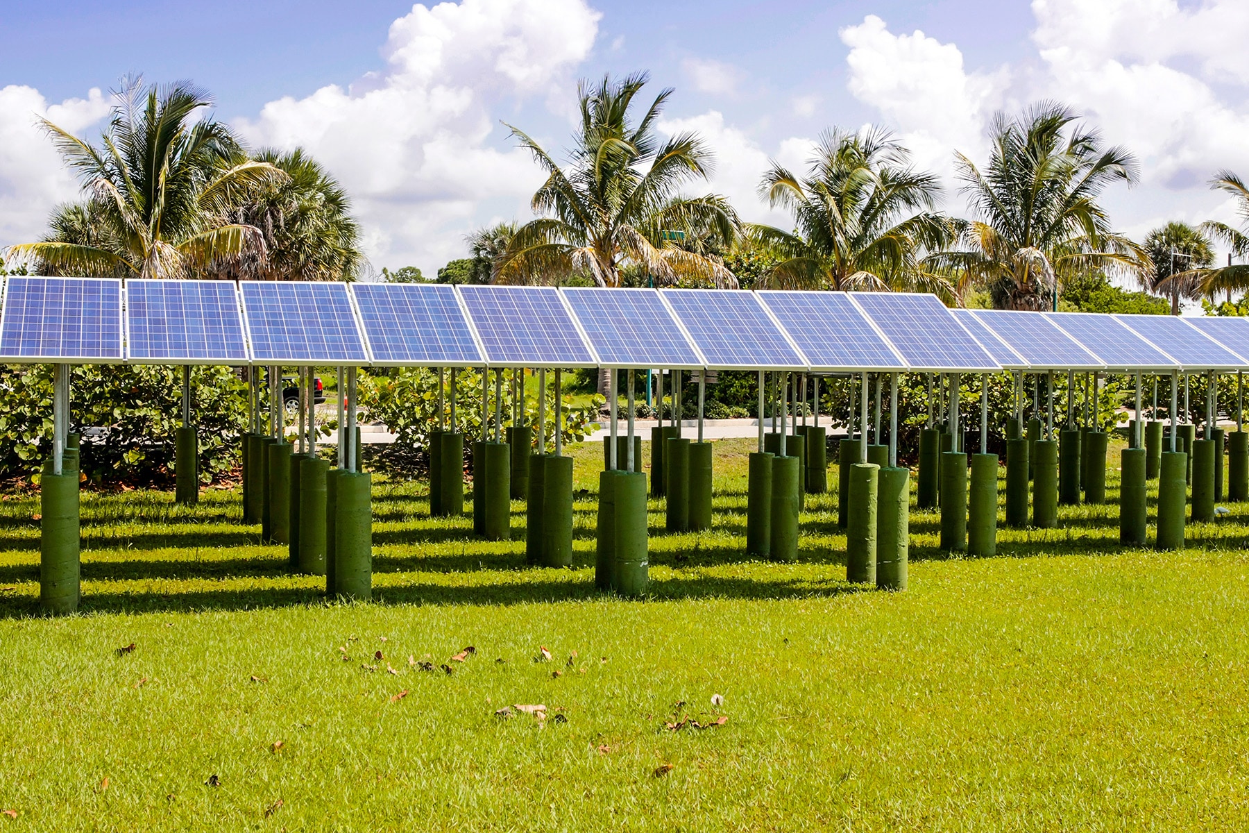 McIntosh Solar Energy Project » Environmental Consulting & Technology