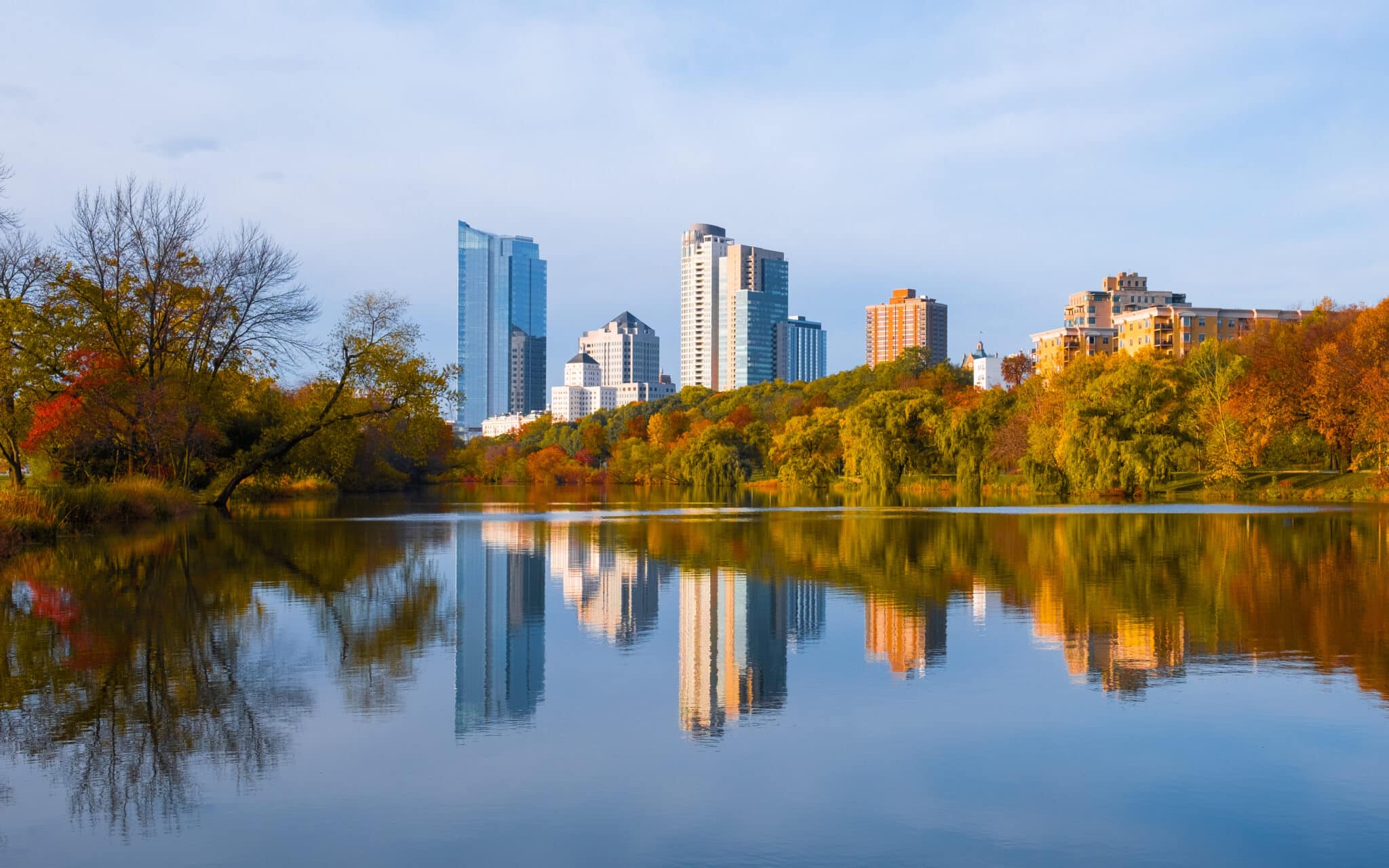 Reforestation and Wetland Restoration Program » Environmental ...