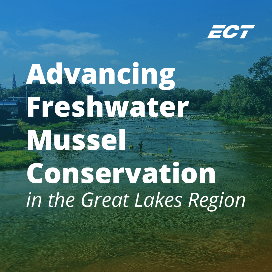 Advancing Freshwater Mussel Conservation in the Great Lakes Region ...
